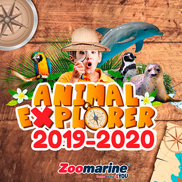 Parco Divertimenti e Acquatico Roma | Zoomarine Parco Giochi