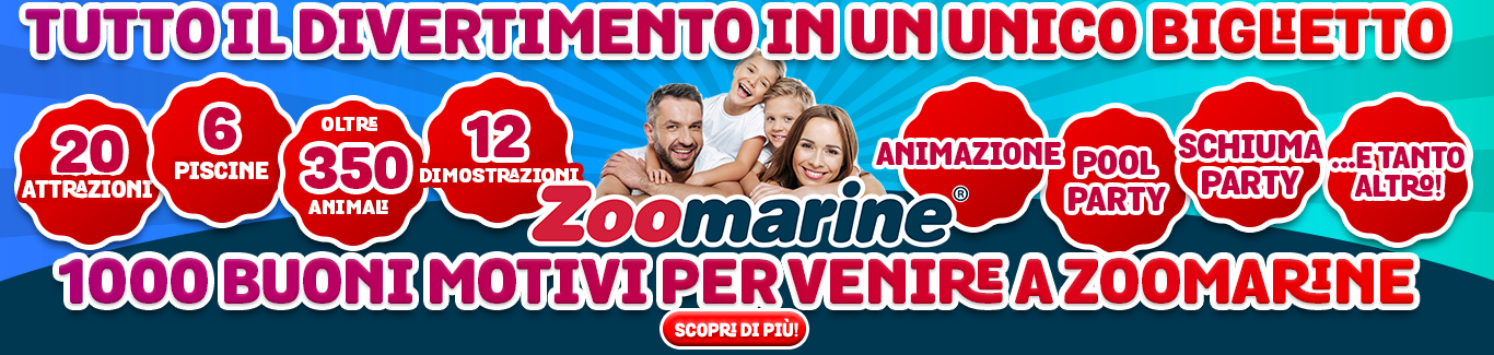 Parco Divertimenti e Acquatico Roma | Zoomarine Parco Giochi